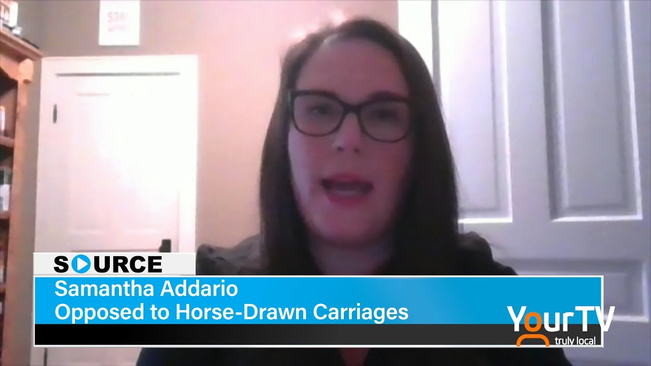 Samantha Addario - YouTube