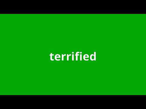 what is the meaning of terrified. - YouTube