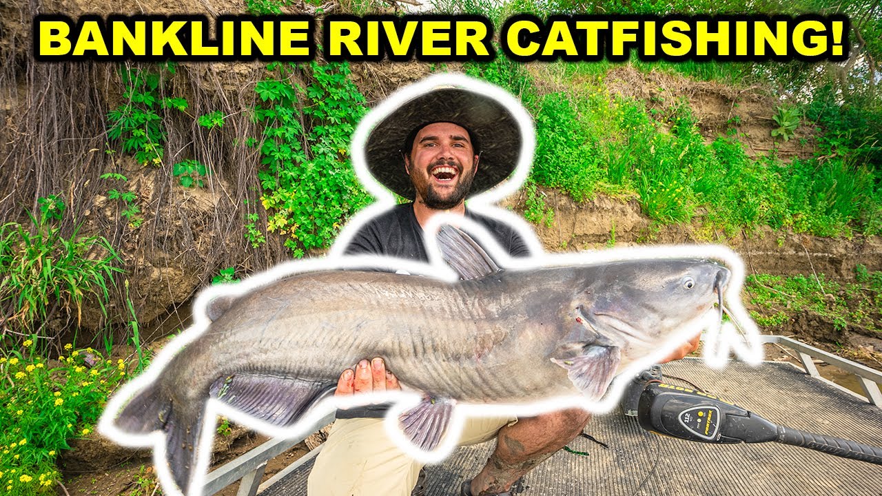 BANKLINE Fishing BIG CATFISH on the RIVER!!! (Catch Clean Cook) - YouTube