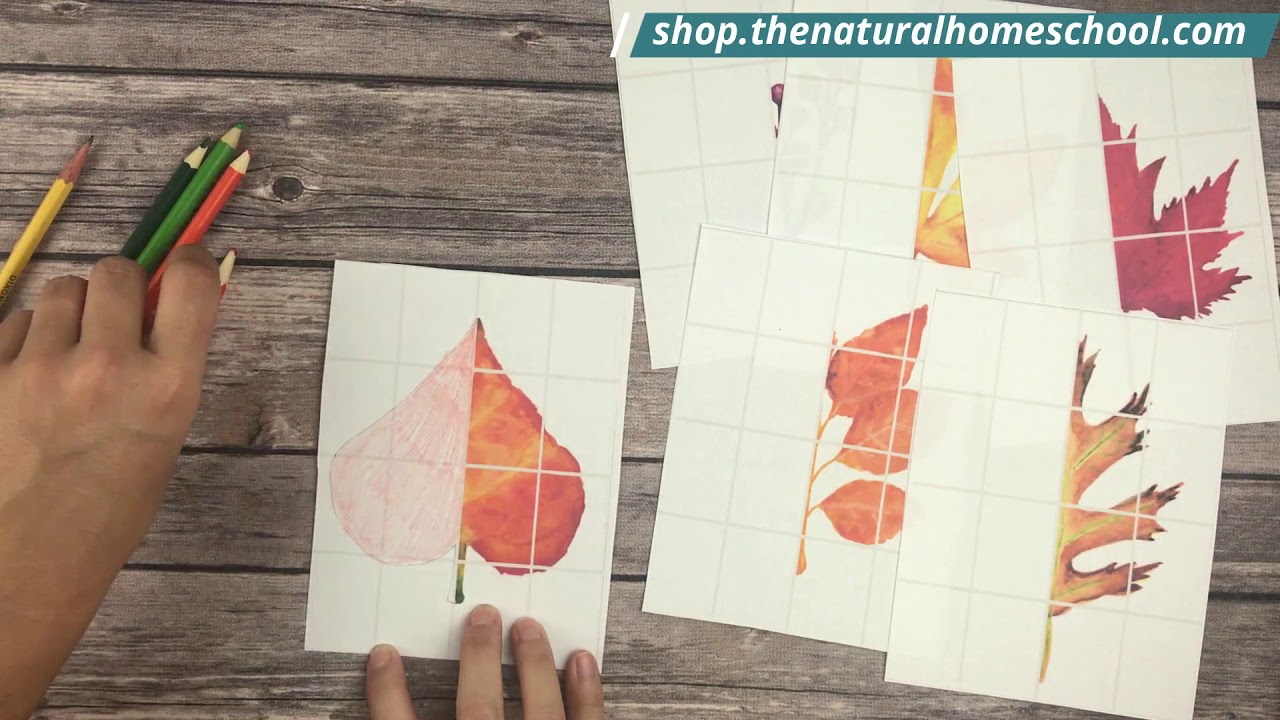 Fall Bundle cutting & symmetry tutorials - YouTube