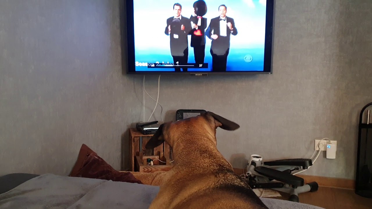 Two and a half (men) singing Dog - YouTube