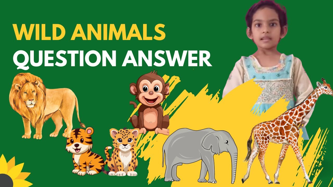 Wild Animals Question Answer #WildlifeQA #ExploreWildlife # ...