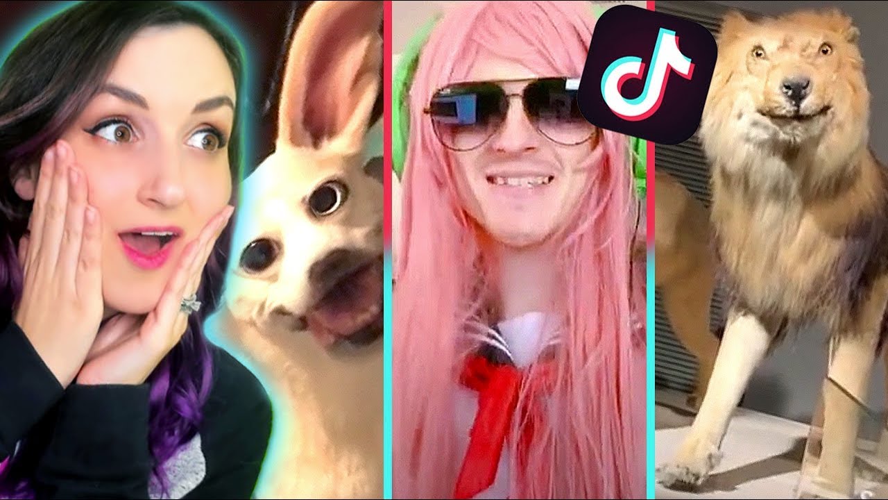 REACTING TO MY FAVORITE TIK TOK VIDEOS - YouTube
