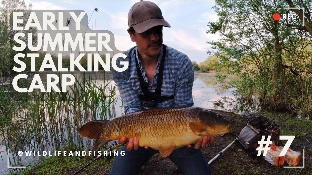 Early Summer Carp Stalking | Princess Lake | #7 - YouTube