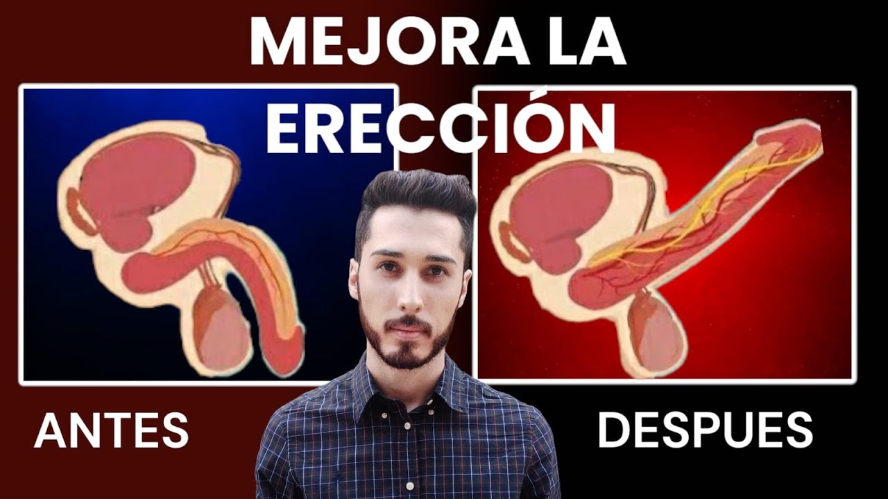 6 Ejercicios Para Mejorar Las Erecciones Y Revertir La Disfunción
