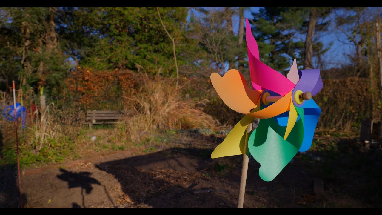 Trying Out the Lumix 18-40 Lens with Hybrid Zoom in 4K HDR: the Fading Fall - YouTube