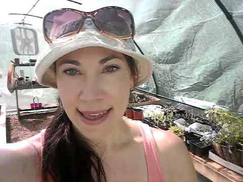 Weekend yard work part 1 - YouTube
