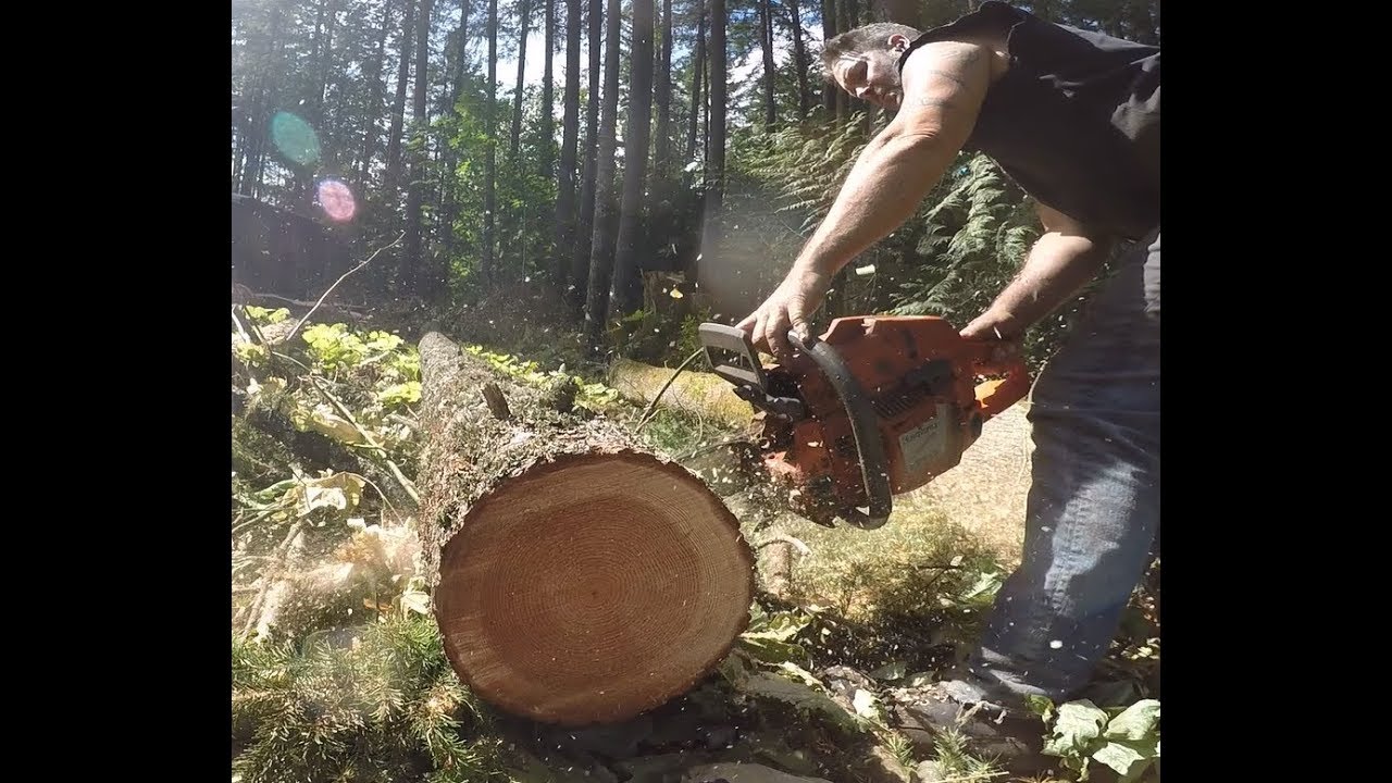 FAST CUTTING PORTED HUSHY 394, ON A LOG BUCKING FRENZY - YouTube