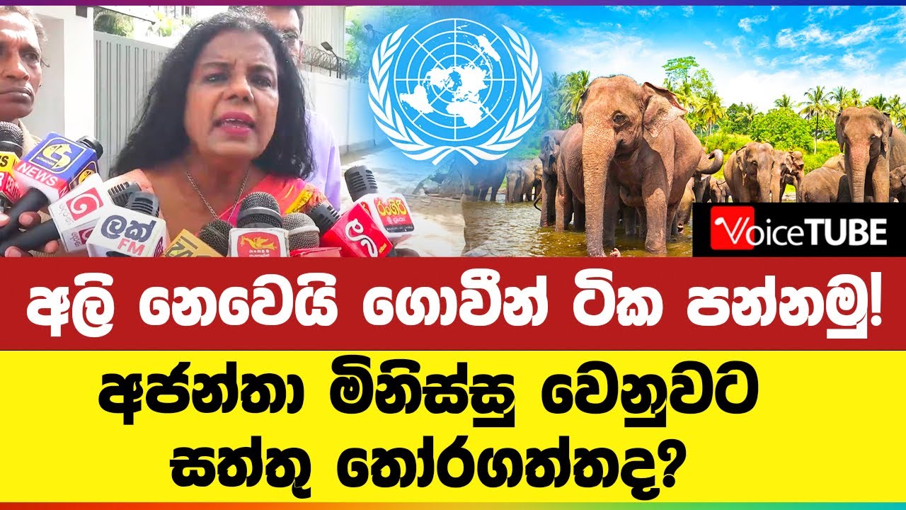 අලි නෙවෙයි ගොවීන් ටික පන්නමු! අජන්තා මිනිස්සු වෙනුවට සත්තු තෝරගත්තද ...