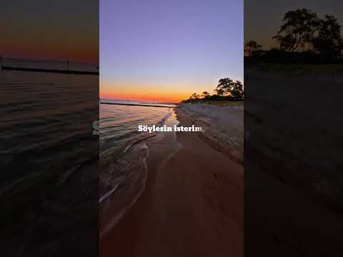 Cem Belevi-Alışamıyorum (lyrics)