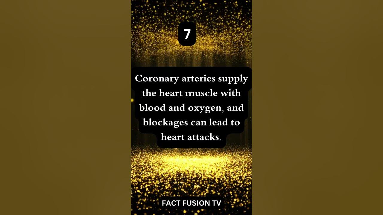 10 Fascinating Facts About Human Heart Fact Fusion Tv Youtube