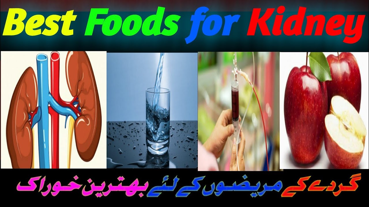 Best Foods for Kidney | How foods Improve Kidney functions? - YouTube