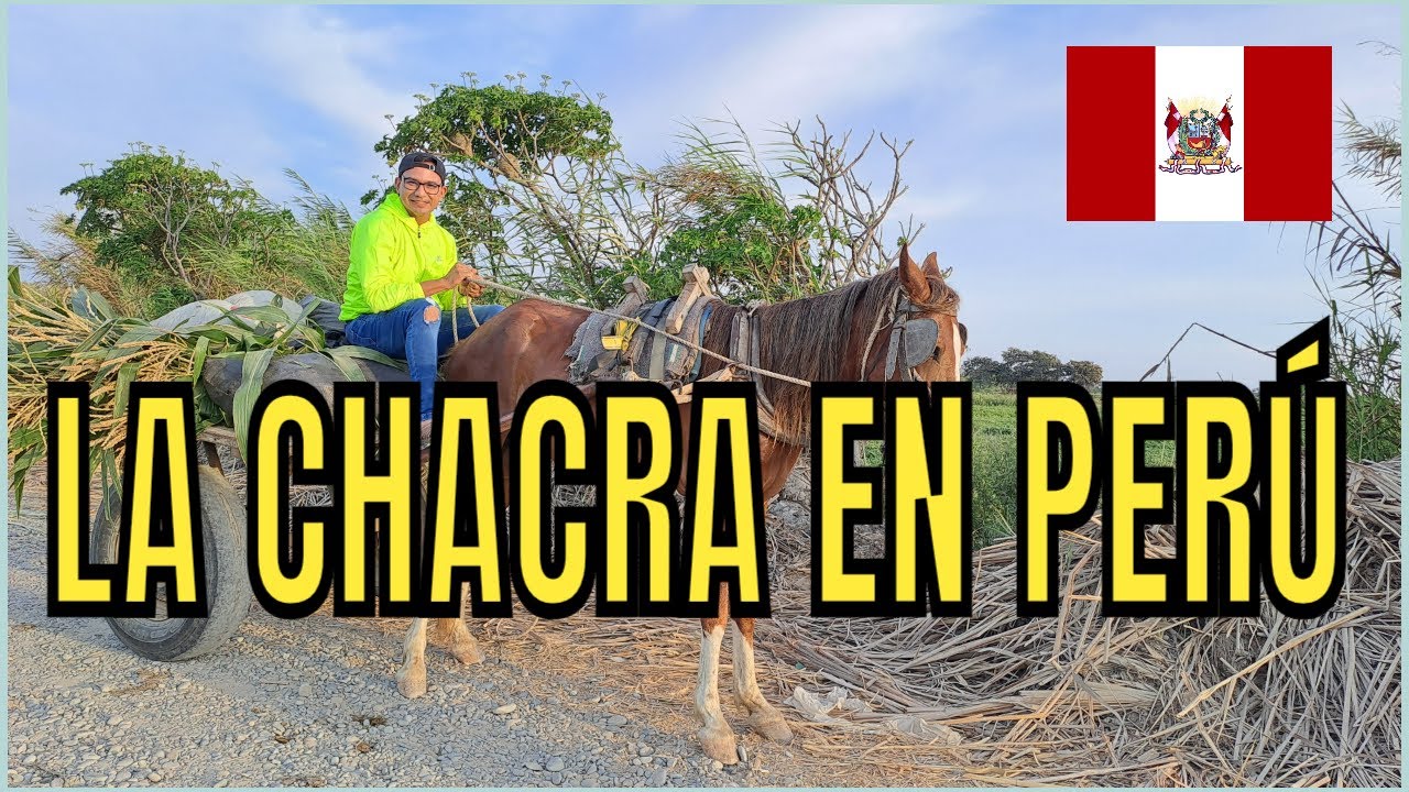 A Este lugar lo llaman chacra en Perú - YouTube
