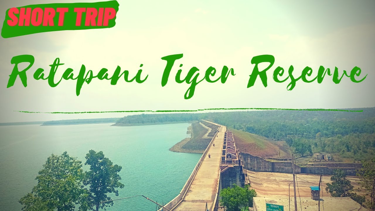 Travel to Ratapani Tiger Reserve - YouTube