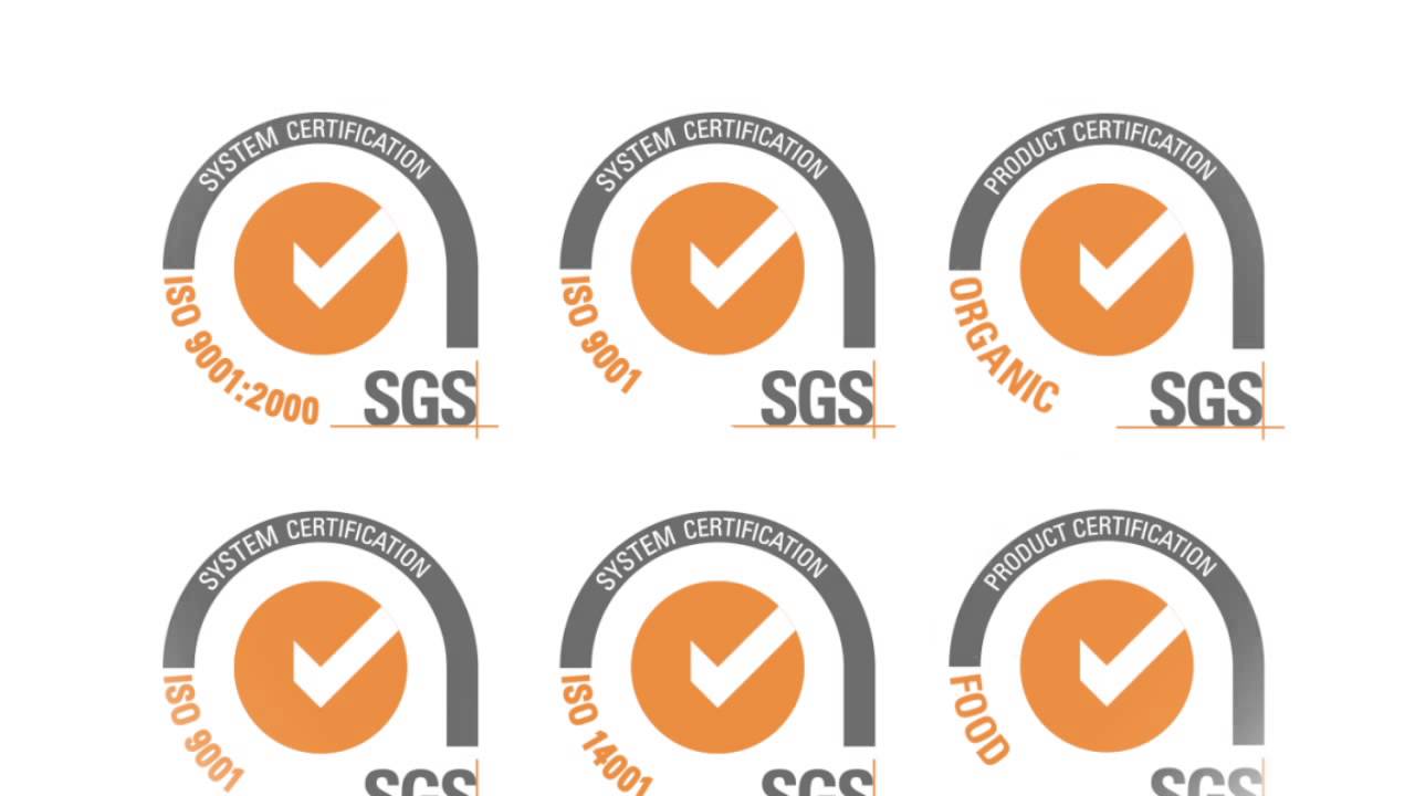 SGS - Case Study - YouTube