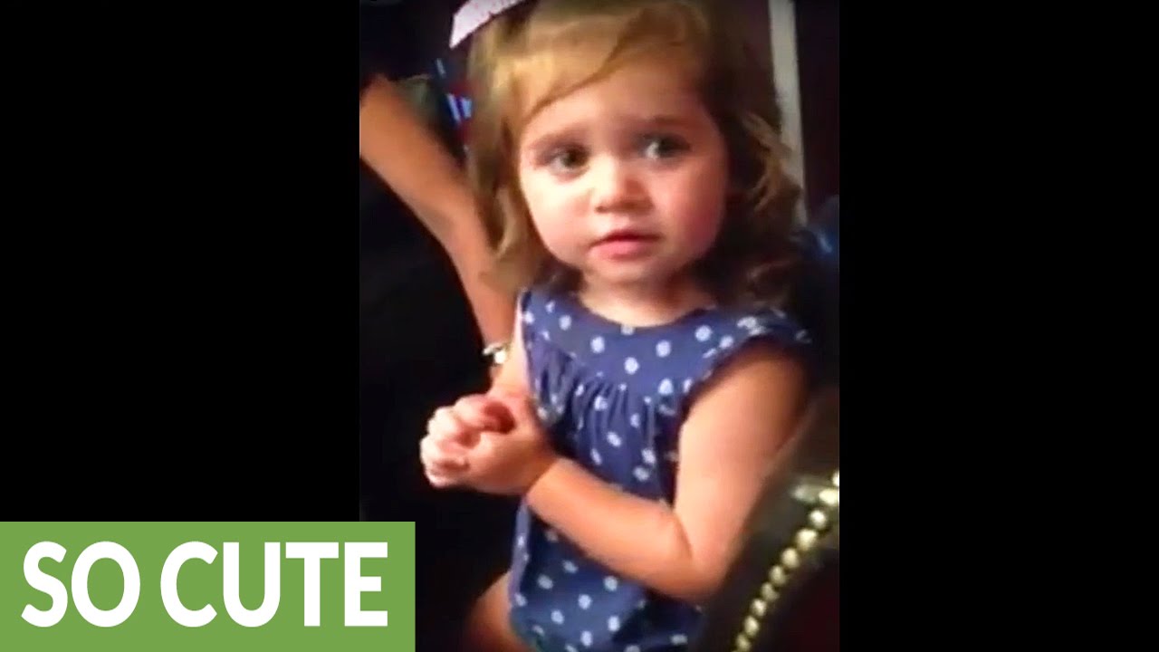 Toddler's contagious laughter results in heartwarming moment - YouTube