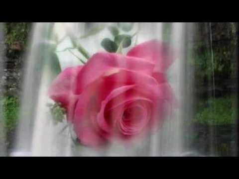 Delailin nur İhsan Atasoy