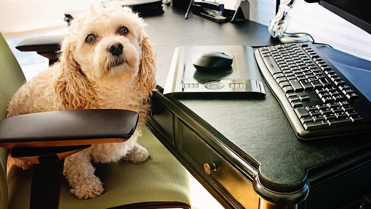 Custom Table Pads Protect Dining Tables, Desks, Buffets, Coffee/End ...