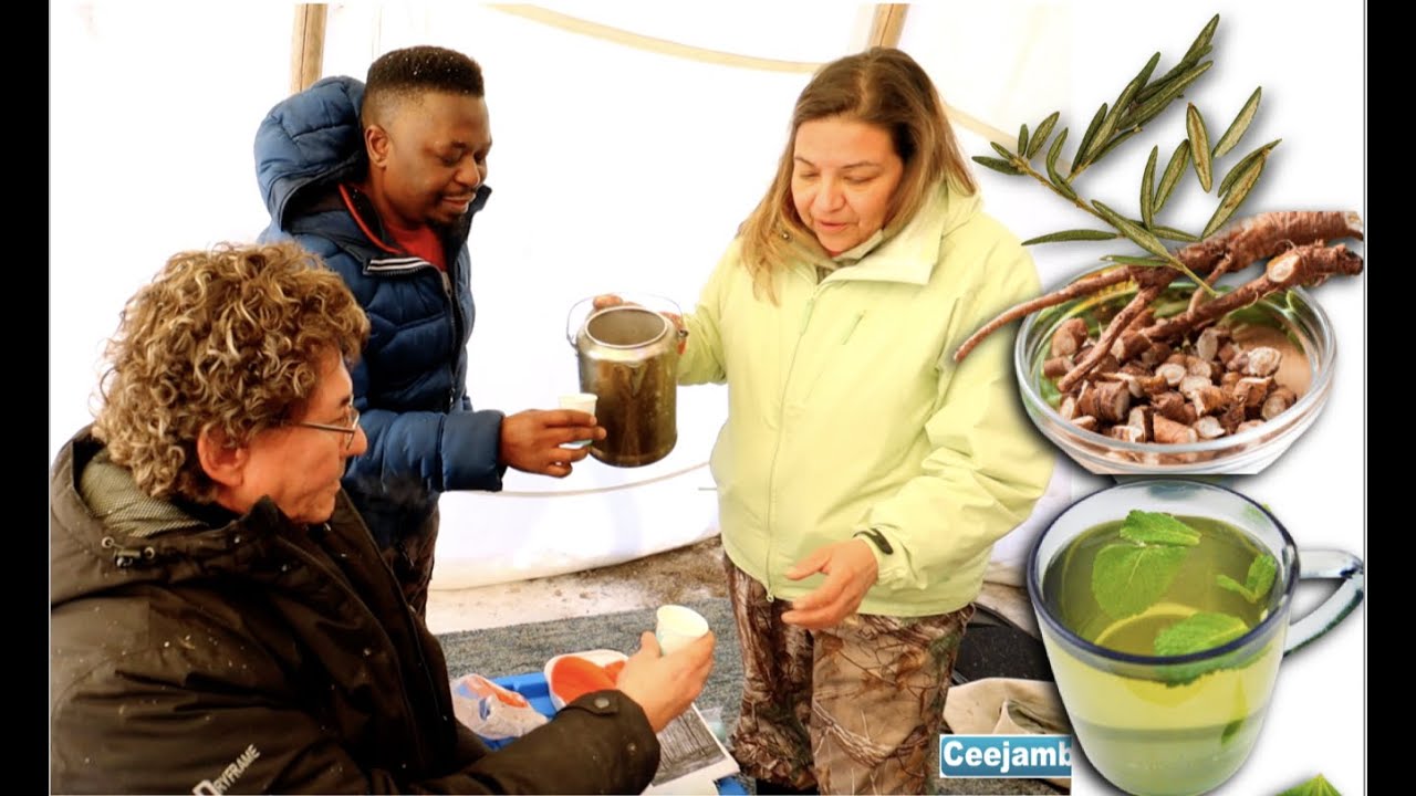 Indigenous Medicinal Healing Tea #Muskeg #dandelion #mint ||Try these ...