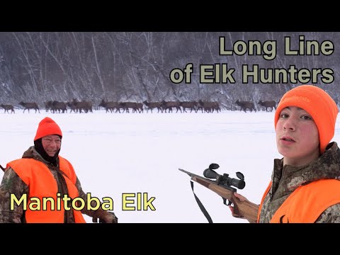 Long Line of Elk Hunters | Manitoba Elk Hunt - YouTube
