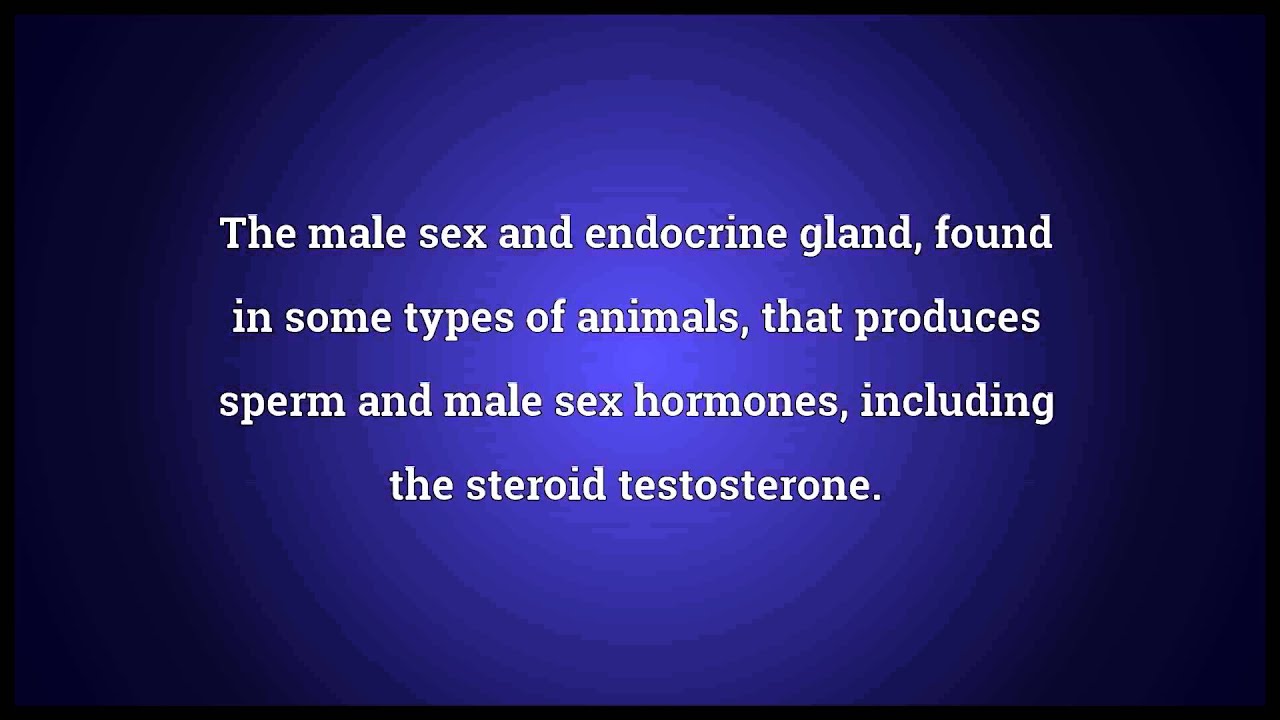 Testicle Meaning - YouTube