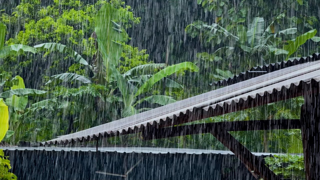 Healing Thunderstorm & Rainfall Sounds | Relax Your Muscles & Sleep ...