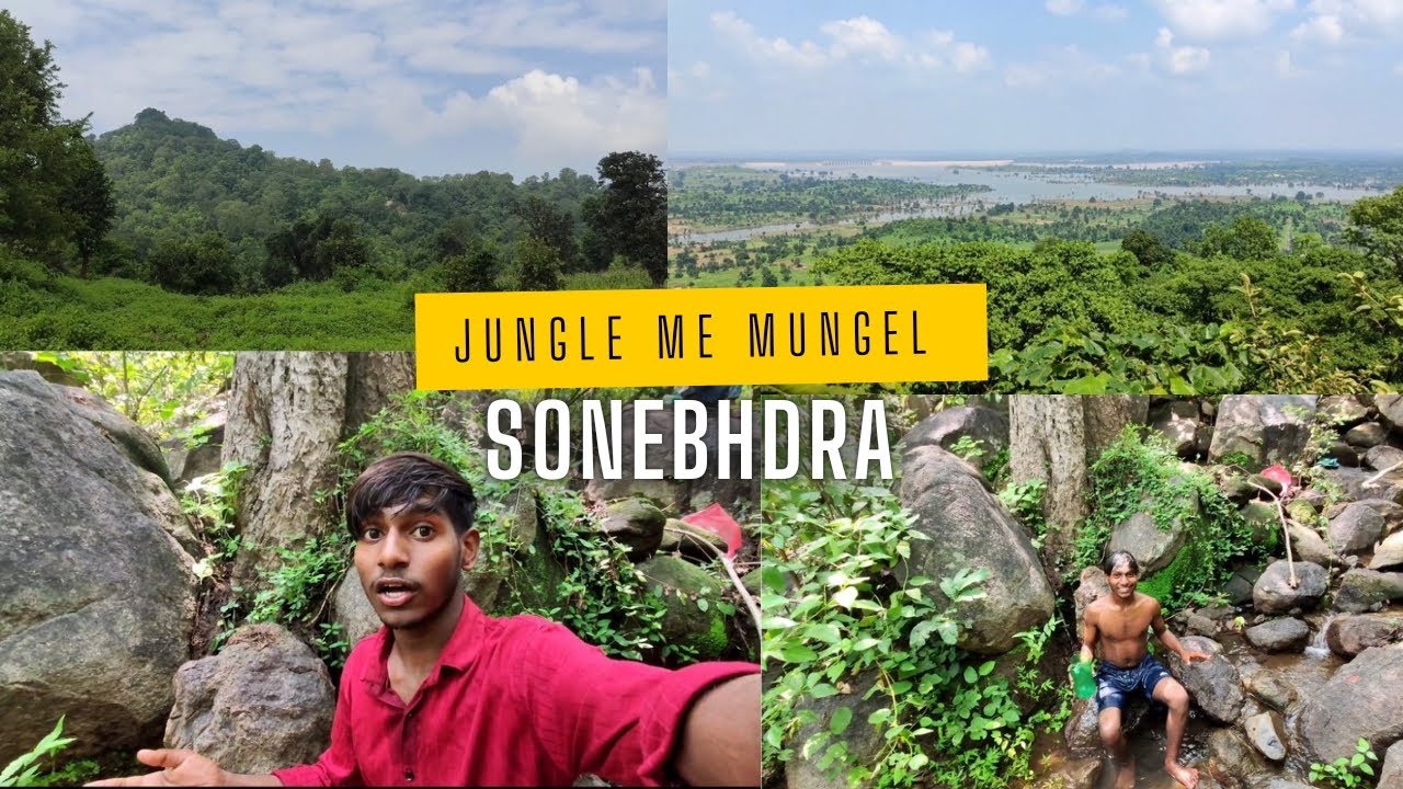 jungle me mungel 🤩maja aa gaya jungle me - YouTube