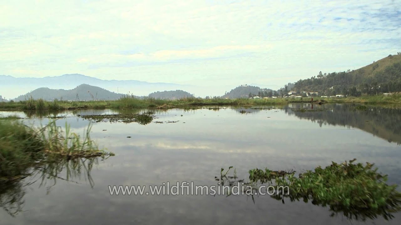 Phumdis floating on the Loktak Lake - YouTube
