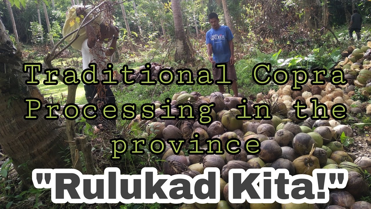 #Rulukad, Copra Processing, the traditional way in the Philippines # ...