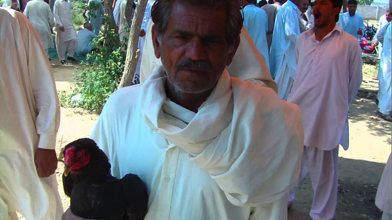 DANGEROUS ASEEL no 4 AT CHECHIYAA AZAAD-KASHMIR Alam Sheri - YouTube