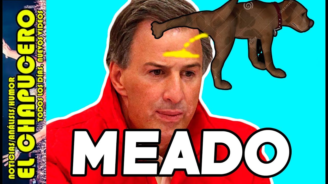 A MEADE lo acabó MEANDO un perro/ En solo una semana, LO SEPULTARON ...