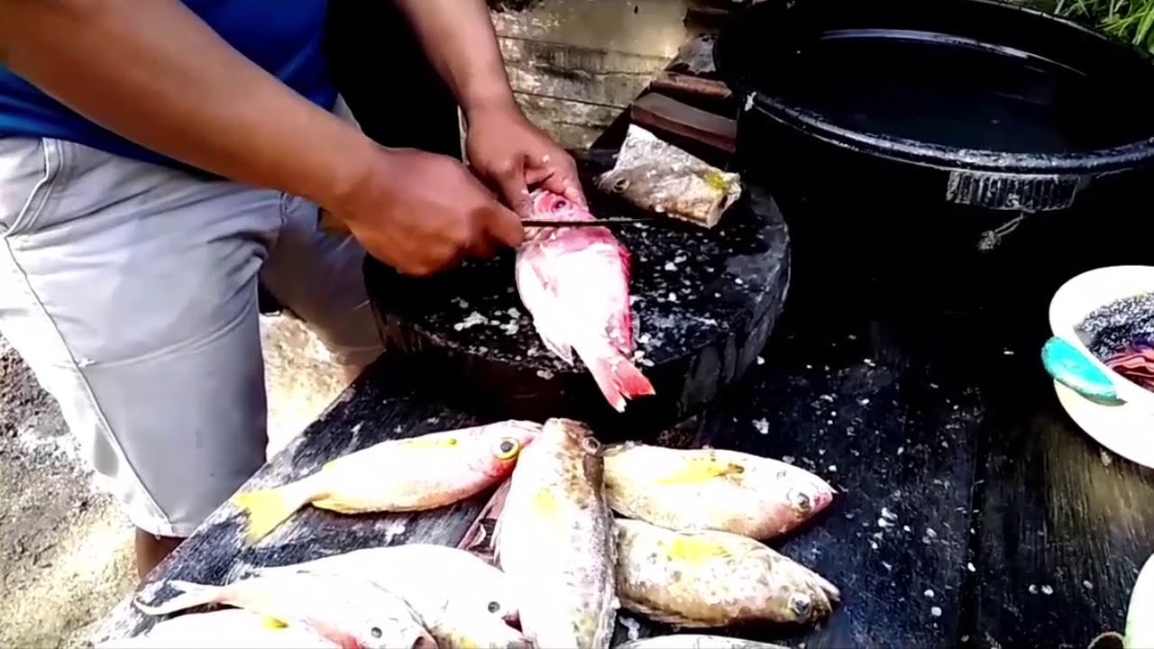 MAKAN PAPEDA MASAKAN KHAS MALUKU | DAY 3 2020 - YouTube