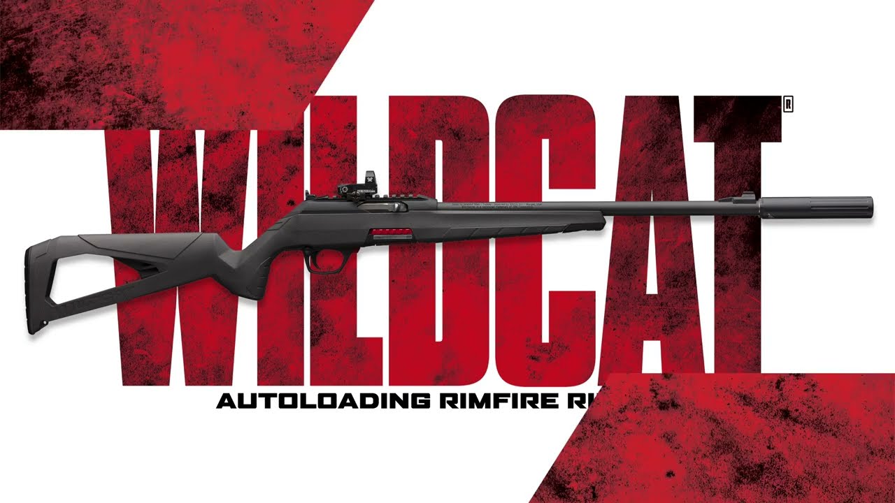 Winchester Wildcat 22 SR 22 LR | Rifles | KYGUNCO