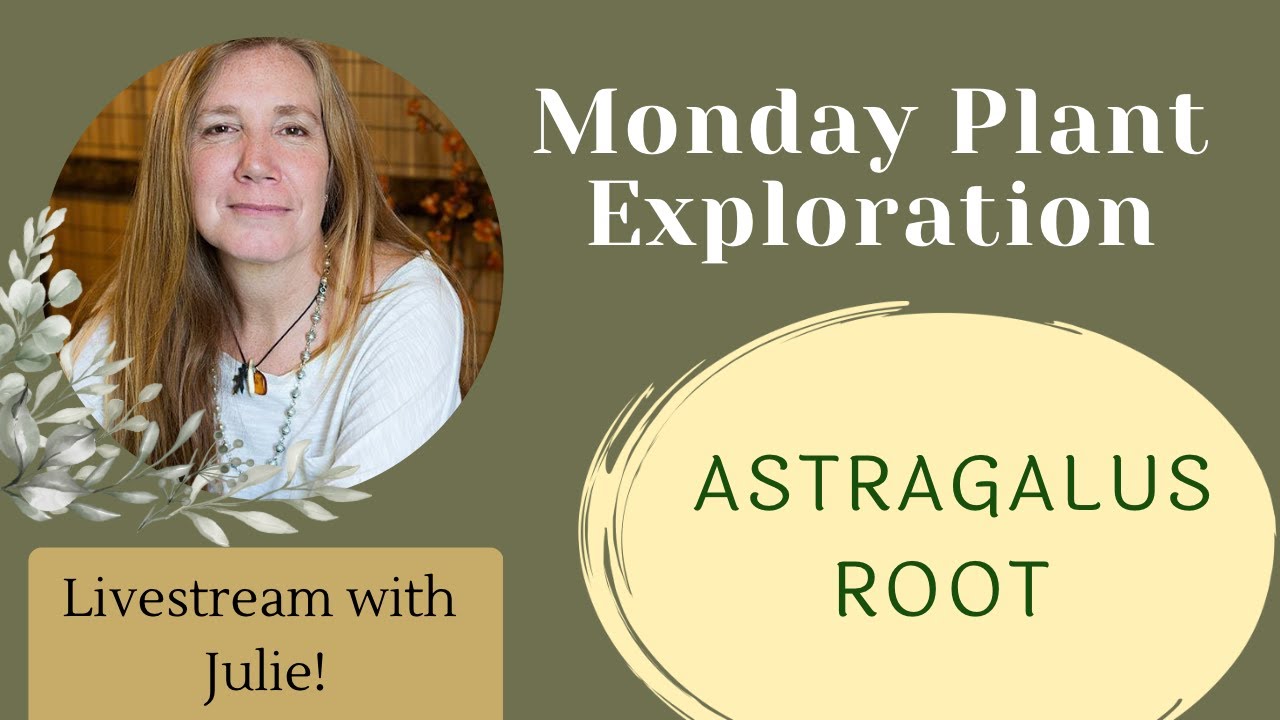 Monday Plant Exploration: Astragalus Root - YouTube