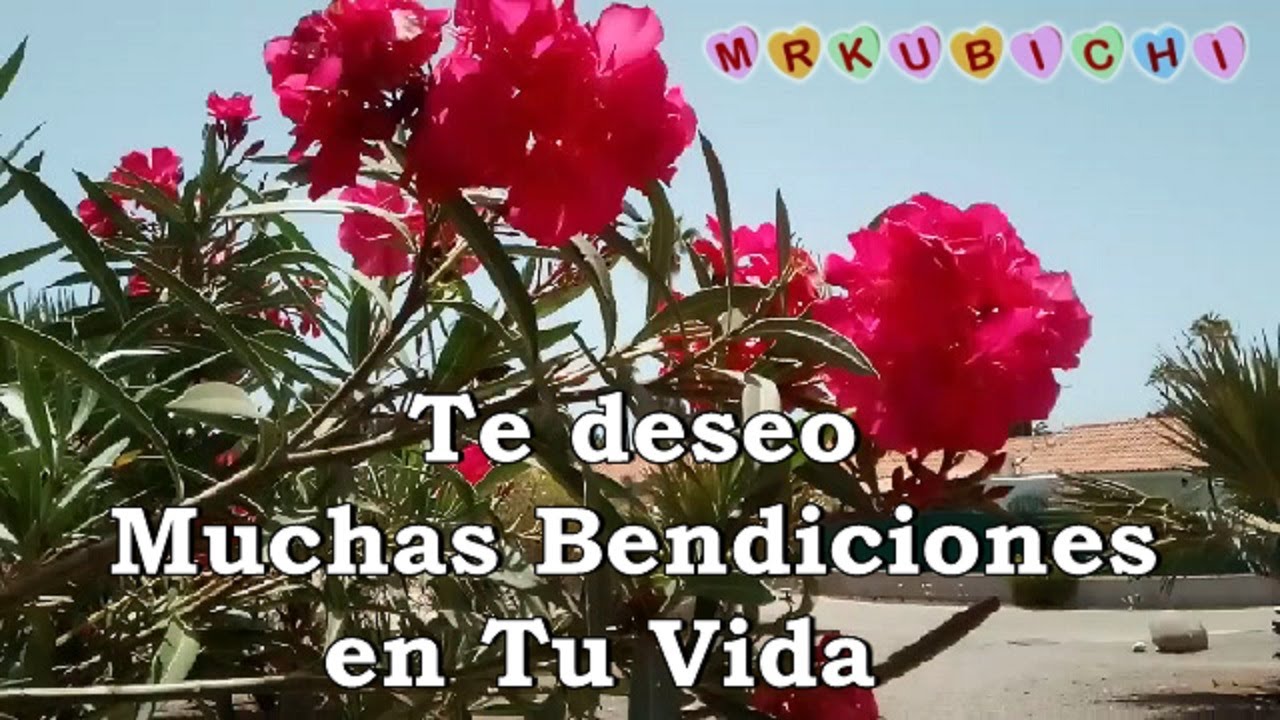 Te Deseo Muchas Bendiciones en Tu Vida - YouTube