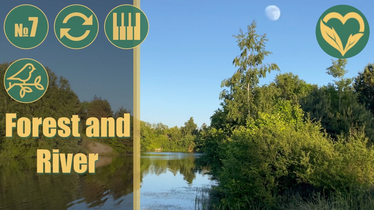 Relaxing Piano Music • №7 • Sleep Music, Forest and River, Birdsong ...