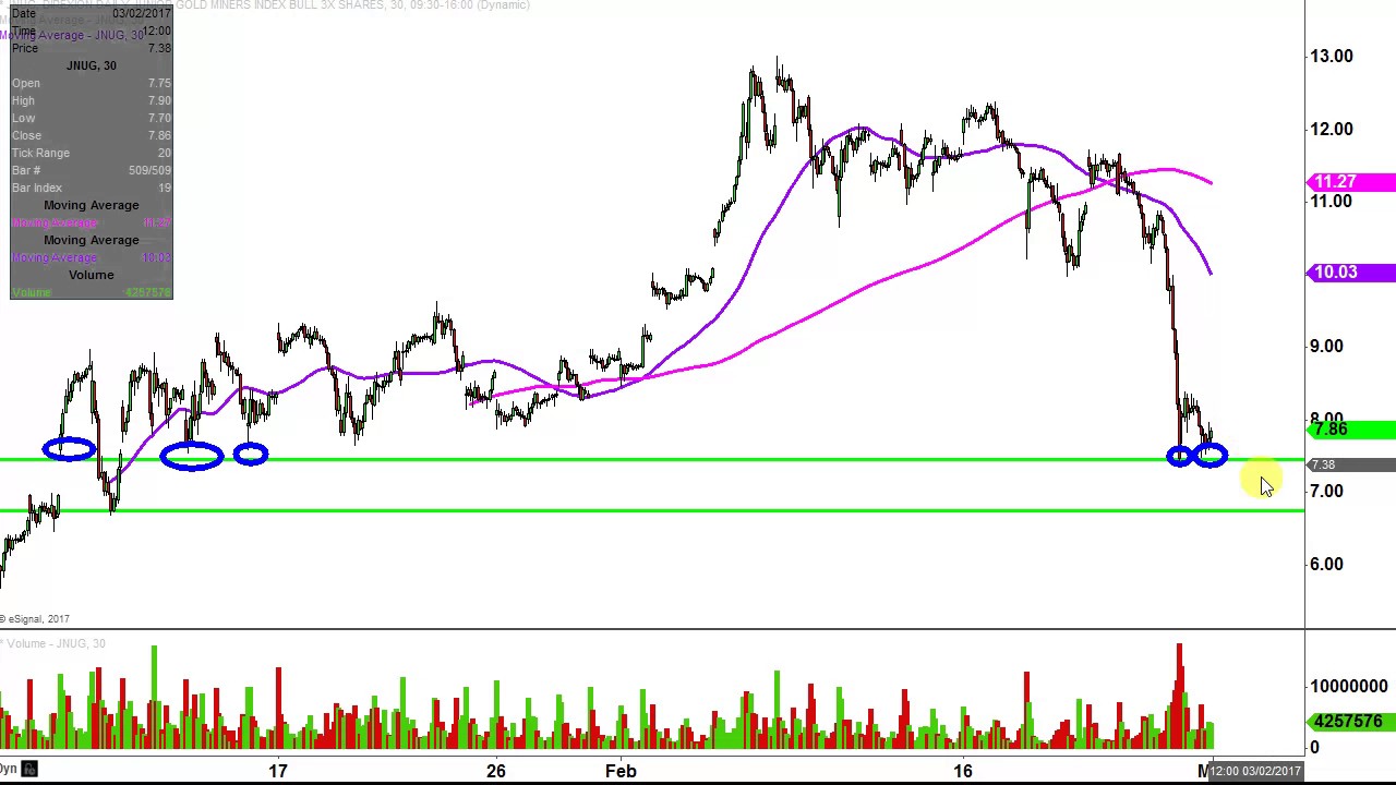 Direxion Daily Jr Gld Mnrs Bull 3X ETF - JNUG Stock Chart Technical Analysis for 02-28-17 - YouTube