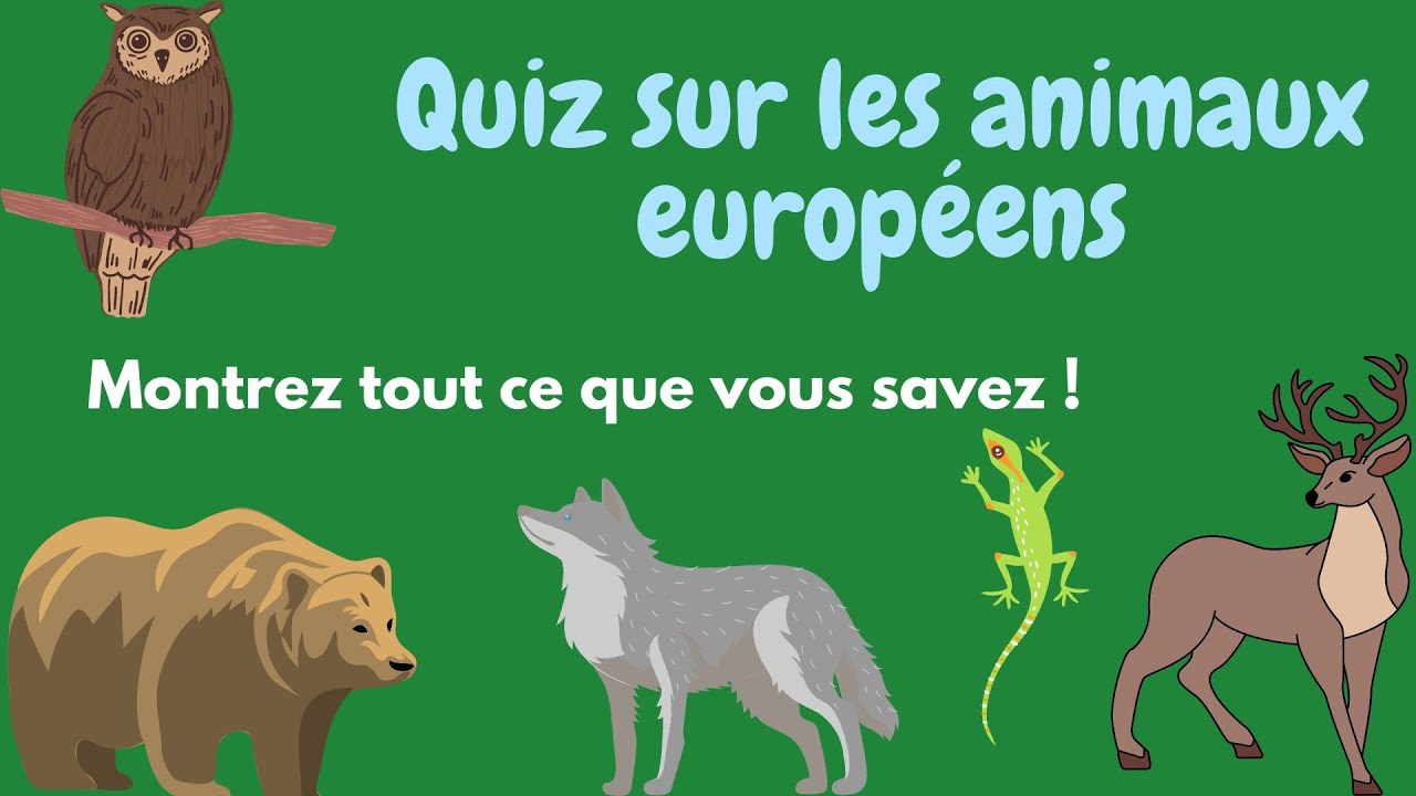 Quiz sur les animaux européens - YouTube