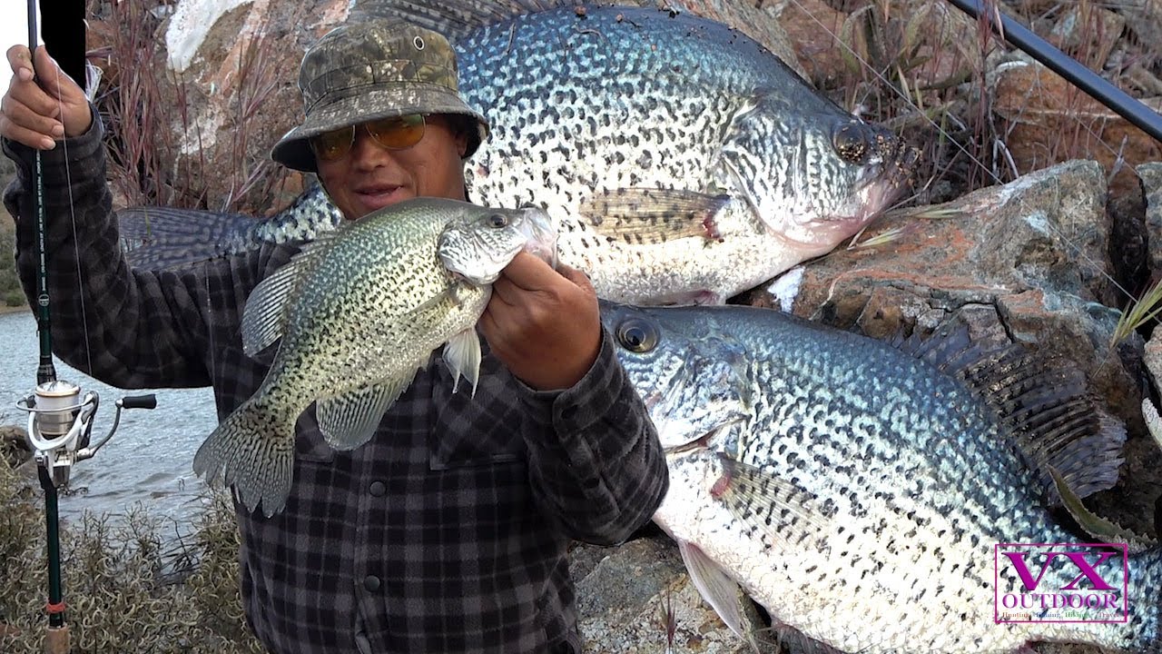 Fishing Capppies and Catfish Indian Valley Reservir 2024 - YouTube