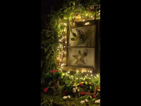 Adventsfenster-Online 19.12.2020 Fröscher