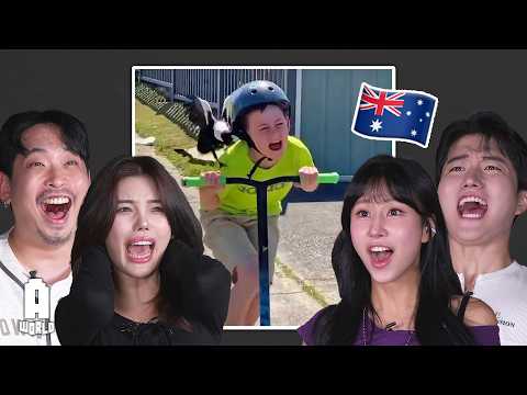 Koreans React to \