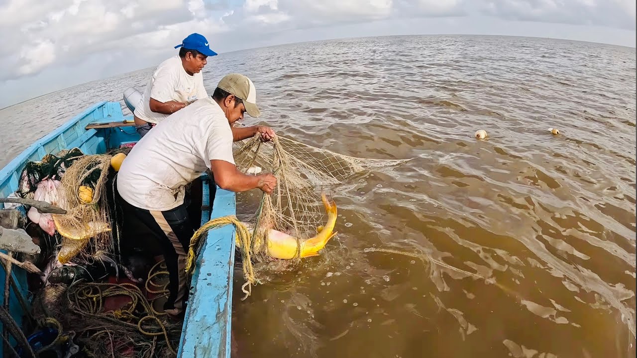 GILBAKA FISHING IN THE MIGHTY ATLANTIC #GUYANA - YouTube