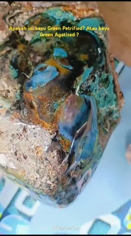 Green Petrified wood or Green Agatized Wood ? - YouTube
