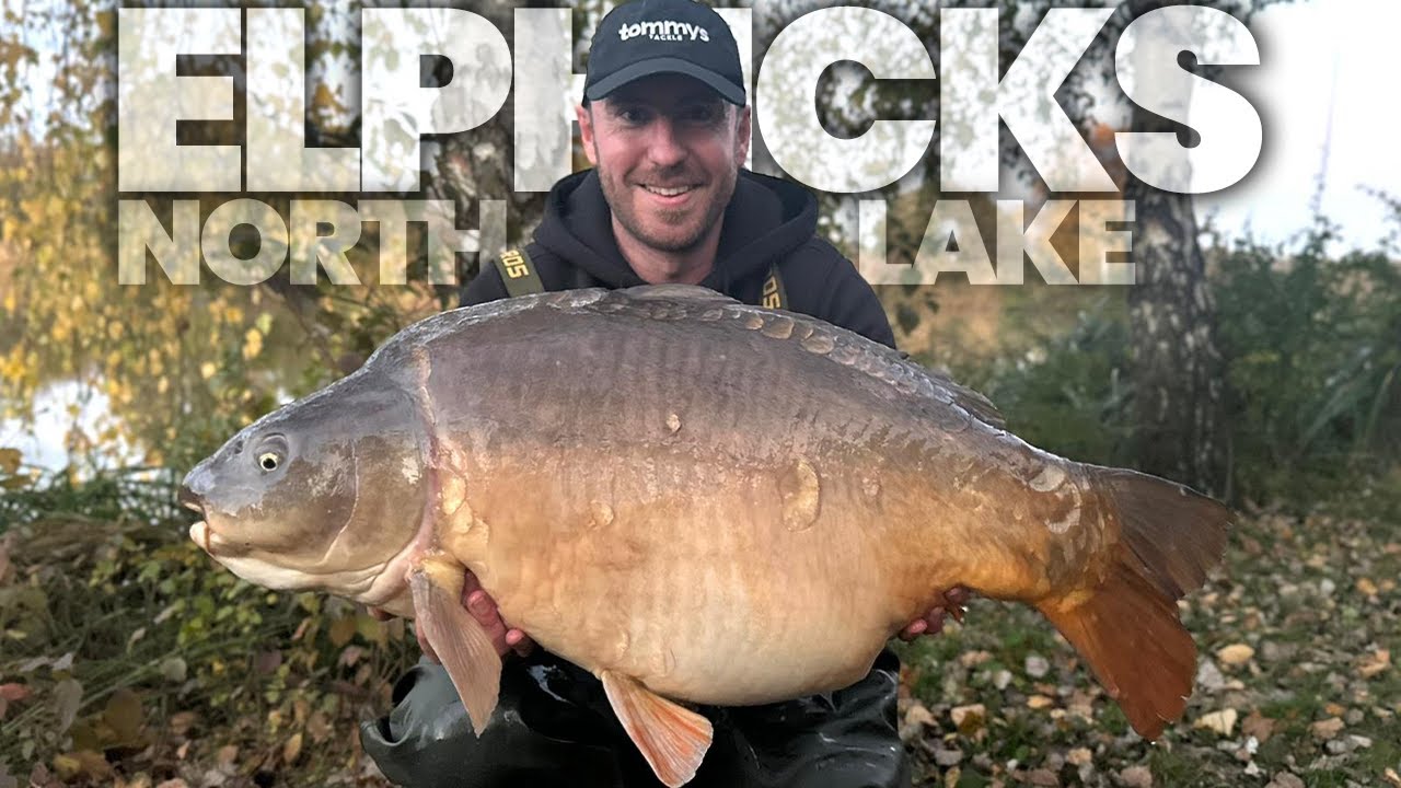 Elphicks North Lake - Multiple 40's CAUGHT! - YouTube