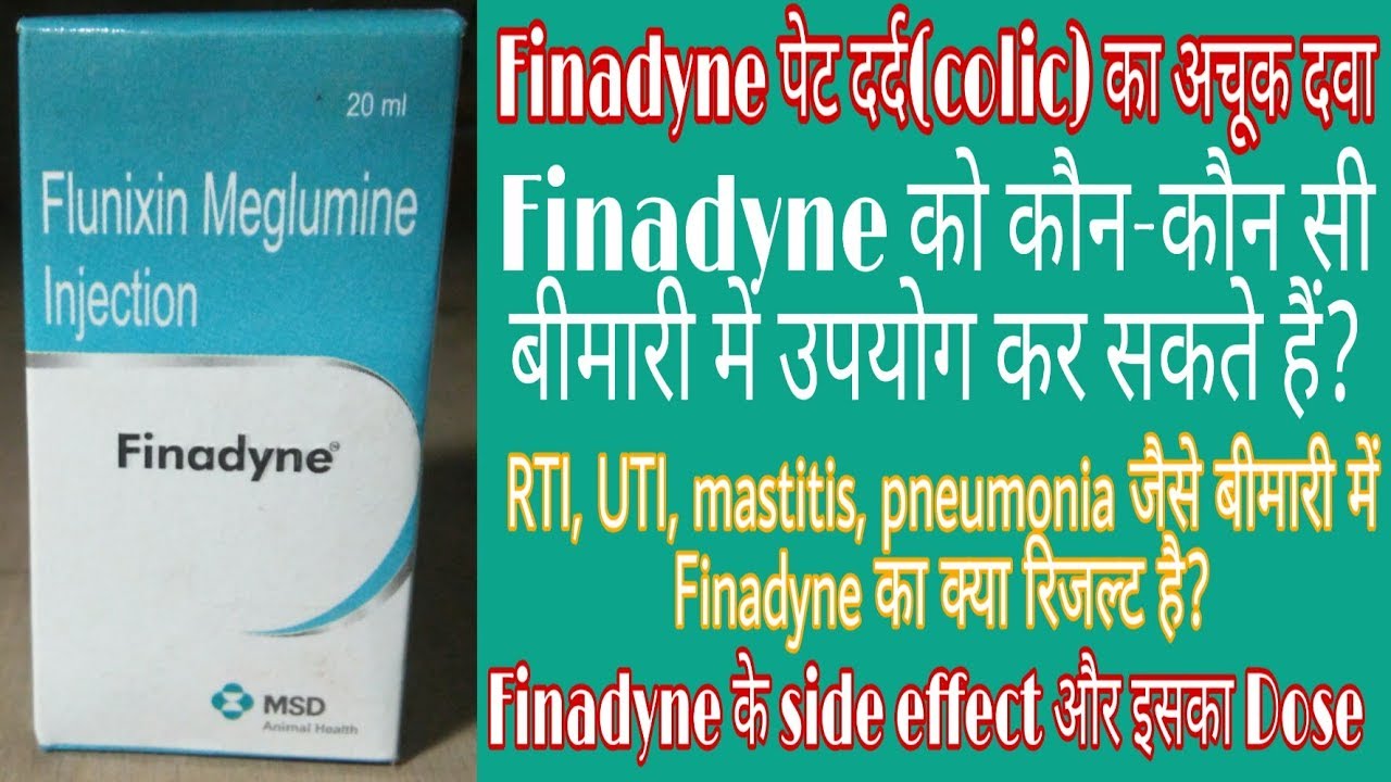Finadyne injection uses in Hindi | Finadyne MSD | inflammation ...