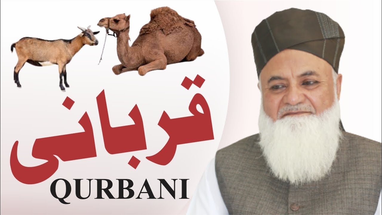 SYED MUHAMMAD SAEED UL HASSAN SHAH SAB BAYAN JUMA TUL MUBRAKH 23-06 ...
