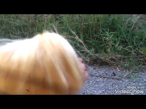 Barbie klip dont let me down