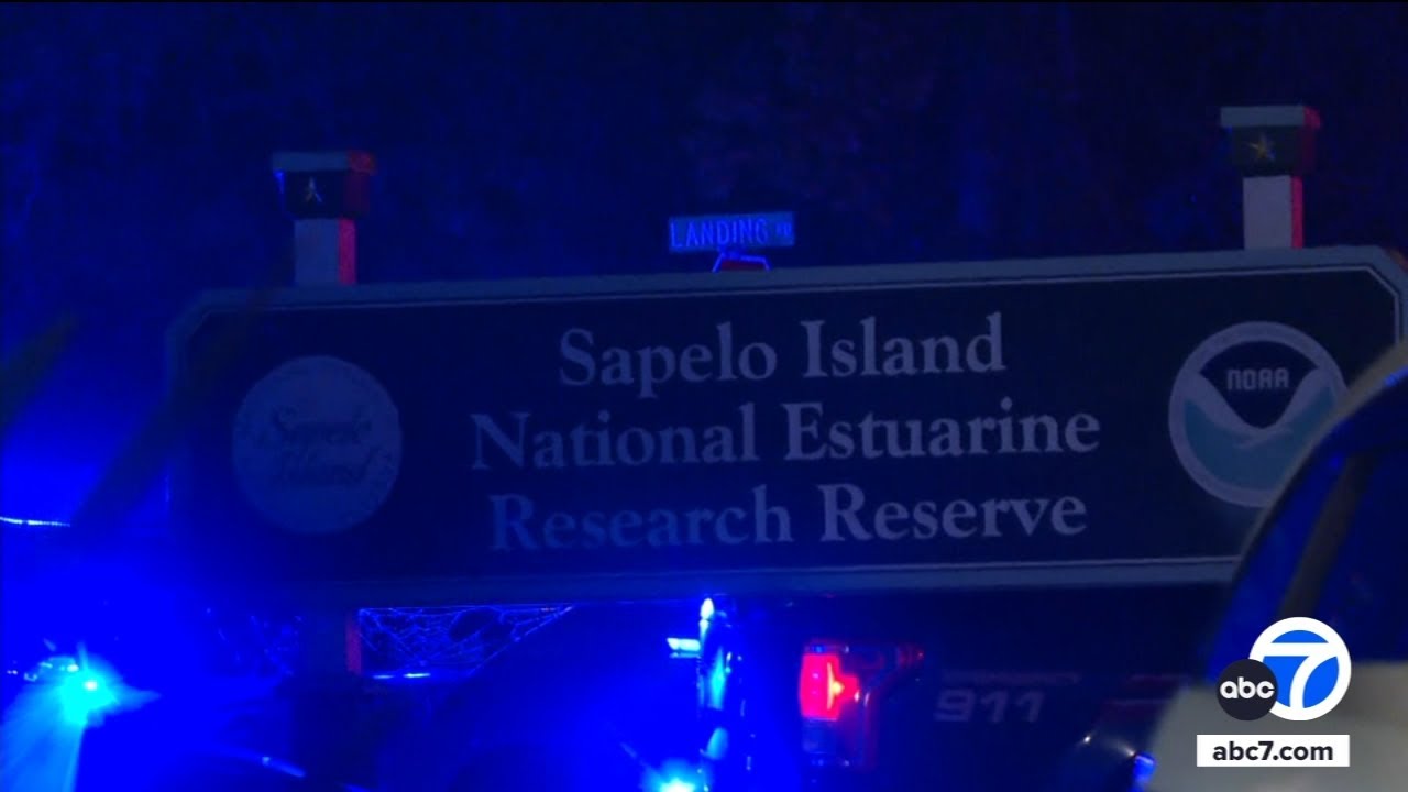 7 dead after ferry dock gangway collapses on Georgia island - YouTube