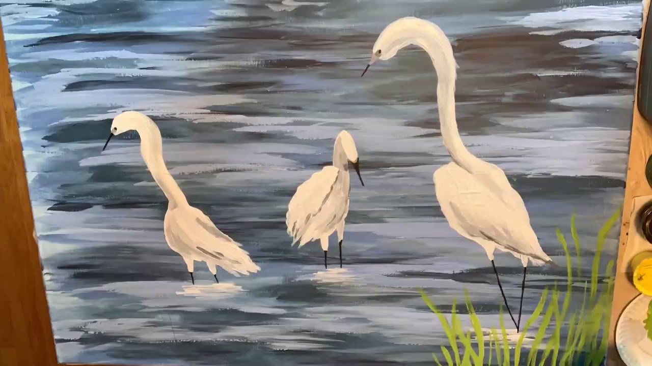 Egret time lapse video, bird time lapse video - YouTube