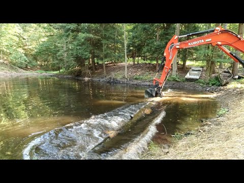POND LOGS and Trail Build - YouTube